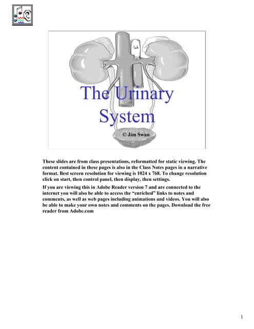 Urinary system notes for medical cum pharmacy students | PDF
