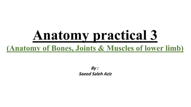 Anatomy and physiology of tibia and fibula tibia | DOC