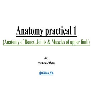 Nerves of upper limb | PDF