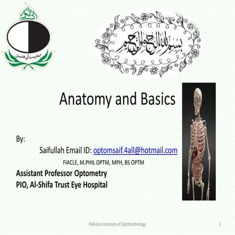 Anatomy and basics | PPT