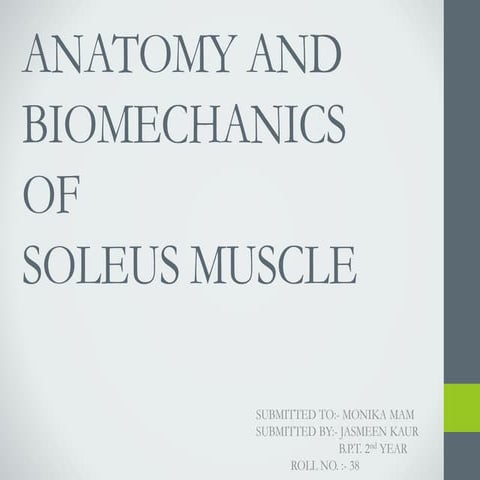 Anatomy and biomechanics of soleus muscle | PPTX