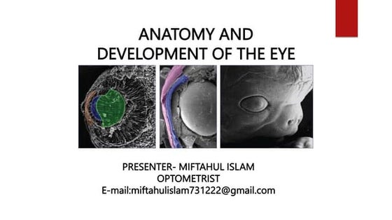 Embryology of the eye | PPTX