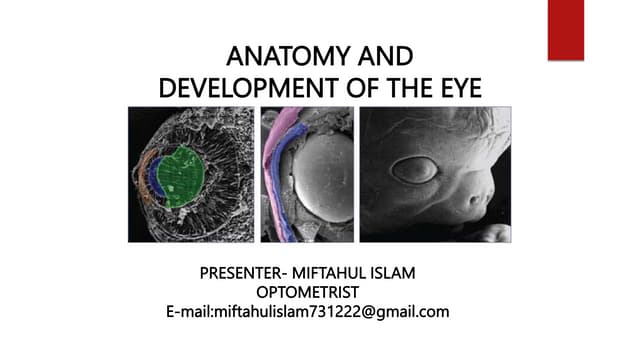 Embryology of the eye | PPTX