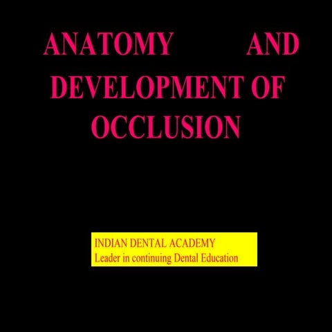 Anatomy and dev of occlusion / dental implant courses | PPT | Bone and ...