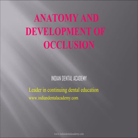 Anatomy and dev of occlusion /orthodontic courses training by indian ...