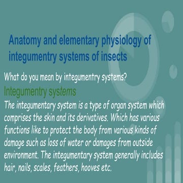 Insect integument - Entomology | PPTX