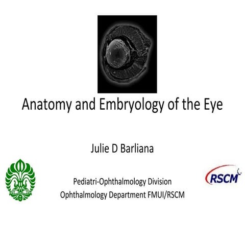 Anatomy and embryology of the eye 2011 | PPT