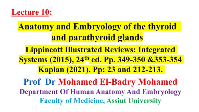 Development of Thyroid Gland (Special Embryology) | PPS