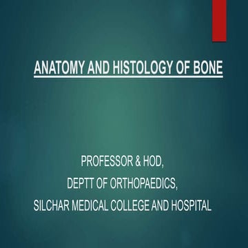 Anatomy and histology of bone | PPTX