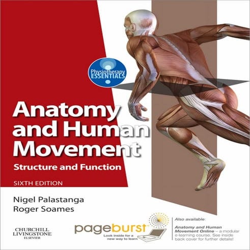 Anatomy and Human Movement: Structure and Function | PDF