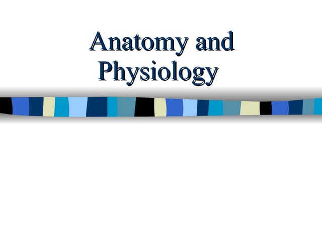 Animal organ systems | PPTX