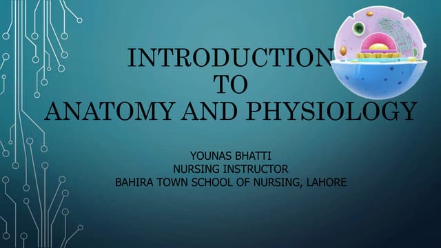Basic anatomical terminology | PPT