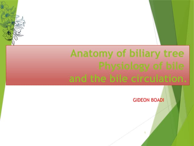 Anatomy and physiology of biliary tree | PPTX