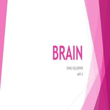 Anatomy and physiology of brain | PPTX