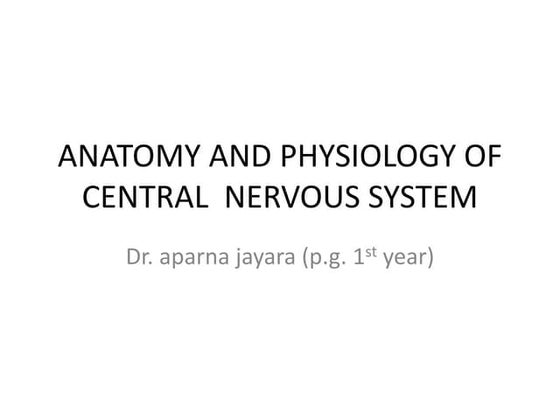 Brain anatomy and physiology | PPT