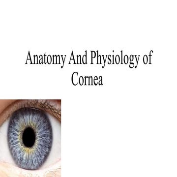 Anatomy and Physiology of Cornea powerpoint.pptx