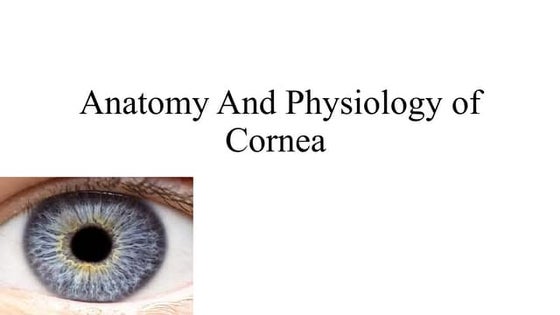 Anatomy Of Cornea | PPT