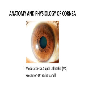 anatomy and physiology of cornea 222.pptx