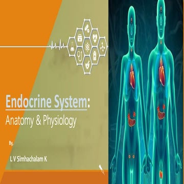 Anatomy and physiology of endocrine system by Simhachalam K L V | PPTX