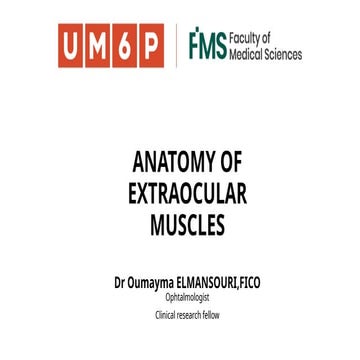 Comprehensive Anatomy and Function of Extraocular Muscles in Eye ...