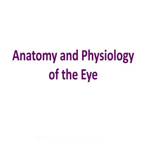 Anatomy and physiology of Eye Anatomy and physiology of Eye | PPTX