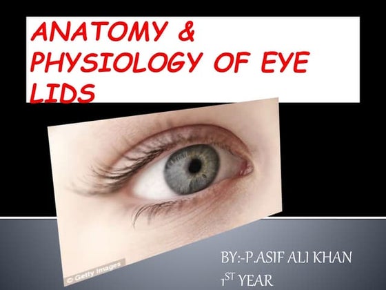 Eyelid Anatomy Ppt Anatomy Of Eye | PPT