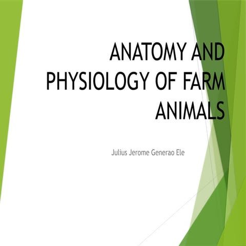 Anatomy & Physiology of Animals | PDF