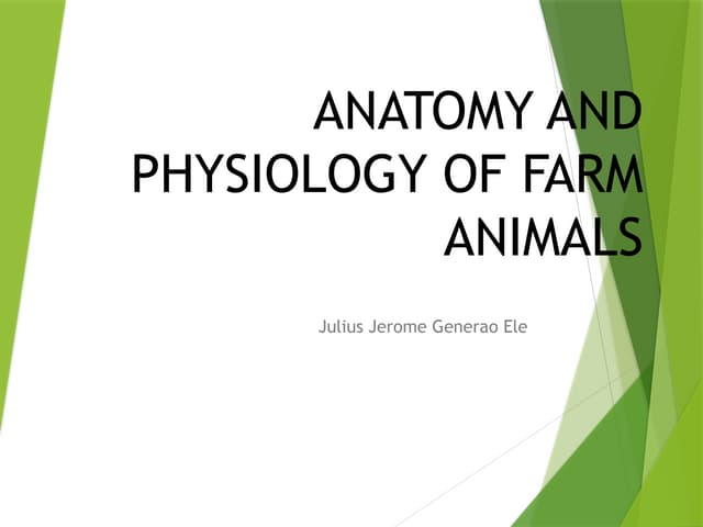 Animal organ systems | PPTX