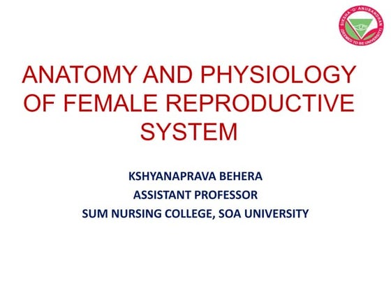 FEMALE EXTERNAL GENITALIA group 4.pptx