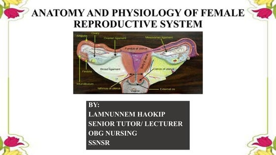Anatomy of Uterus | PPT
