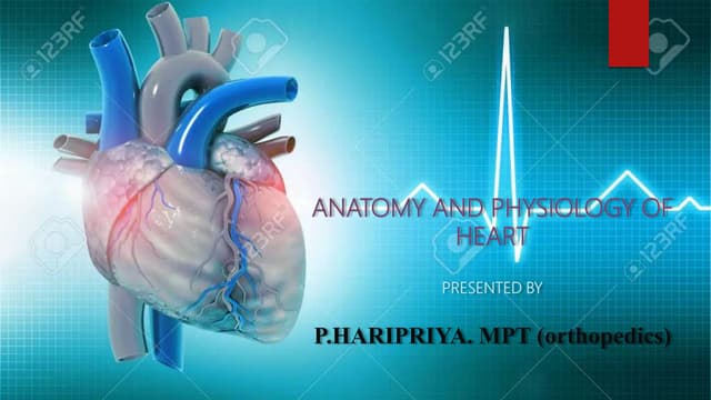 anatomy of Left atrium and left ventricle of the human heart | PPTX