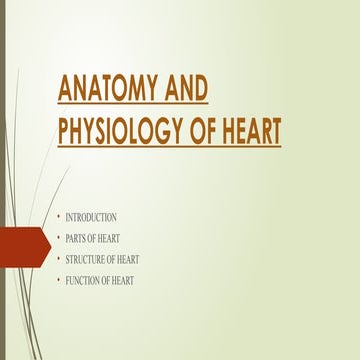 Anatomy and physiology of heart and its function | PPTX