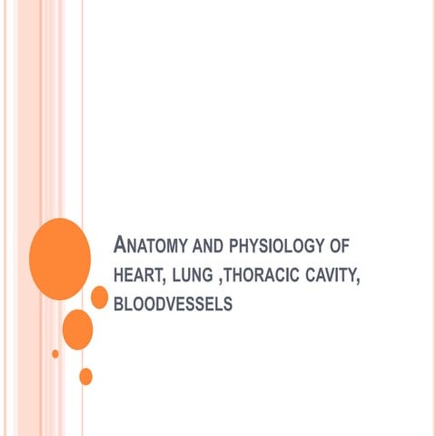 Cardiovascular system of goat | DOCX