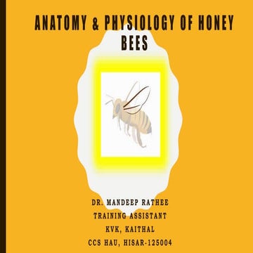 Anatomy and physiology of Honey Bees.pptx