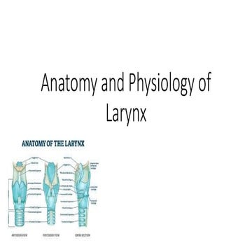 Anatomy and Physiology of Larynx for MBBS | PPTX