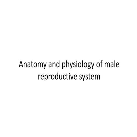 Anatomy and physiology of male reproductive system | PPTX