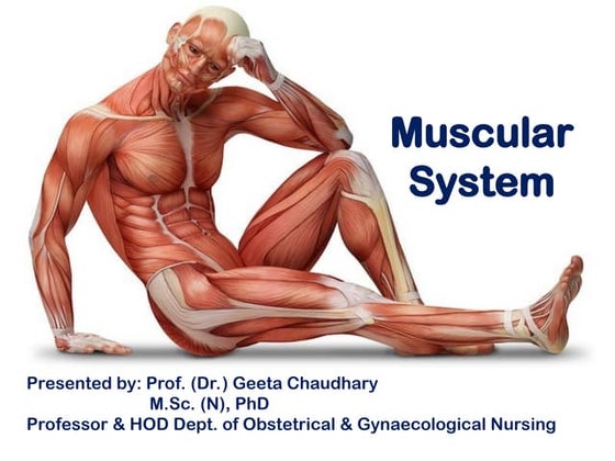 Muscle Types: Skeletal, Smooth, and Cardiac | PPTX | Heart and ...