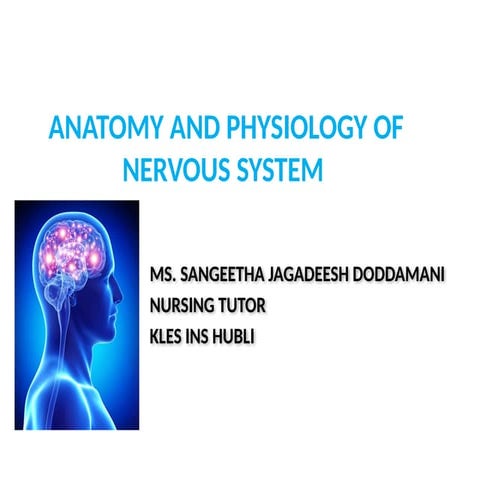 Comprehensive Overview of Nervous System Anatomy and Physiology by ...