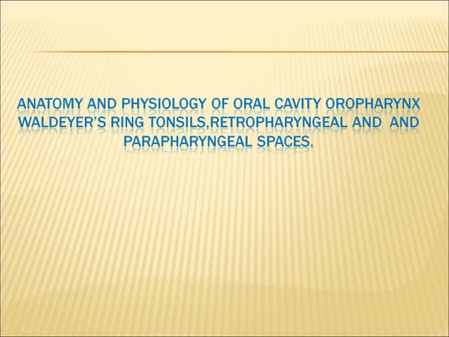 Anatomy Of Tonsil.......................... | PPT