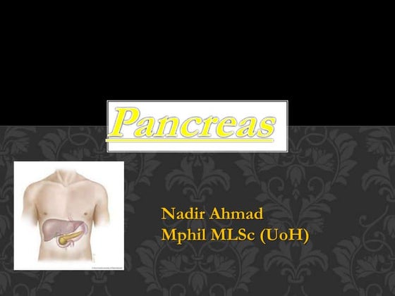 anatomy and physiology pancreas pptx.pptx