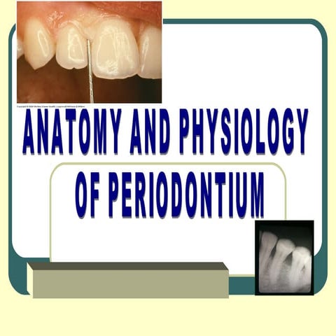 Clinical Periodontology - Introduction & Anatomy | PDF