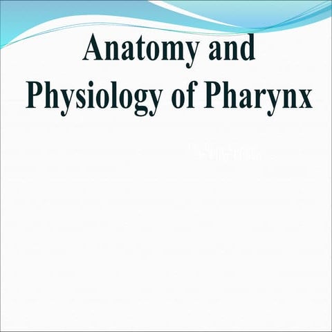 Anatomy and Physiology of Pharynx.ppt | Ear, Nose and Throat Conditions | Diseases and Conditions