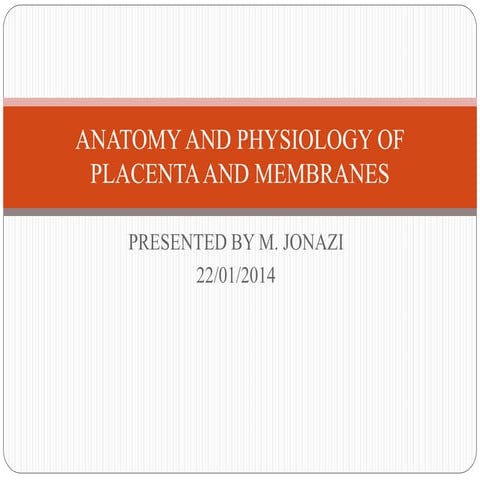 Fetal membranes | PPTX