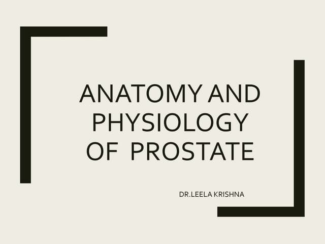 Prostate Anatomy.pptx