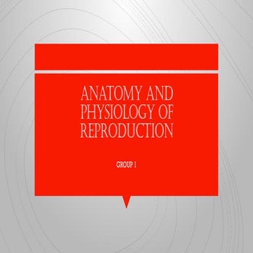 ANATOMY AND PHYSIOLOGY OF REPRODUCTION.pptx