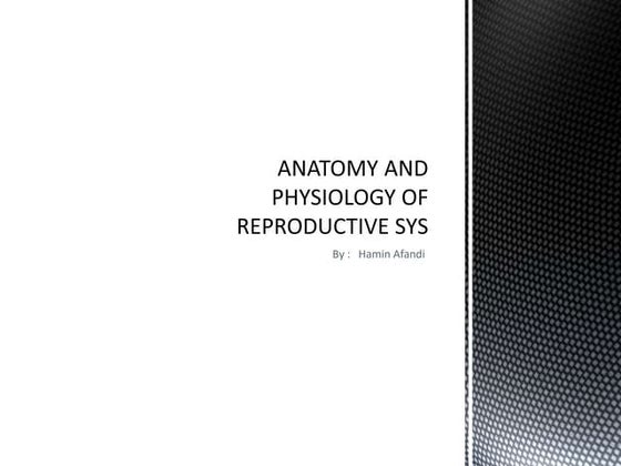 Pelvimetry Ppt