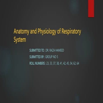 Anatomy and Physiology of Respiratory System-1.pptx | Lung and ...