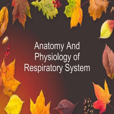 Anatomy and physiology of the respiratory system | PPTX