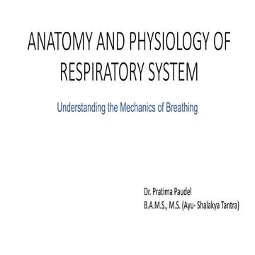 ANATOMY AND PHYSIOLOGY OF RESPIRATORY SYSTEM.pptx | Free Download