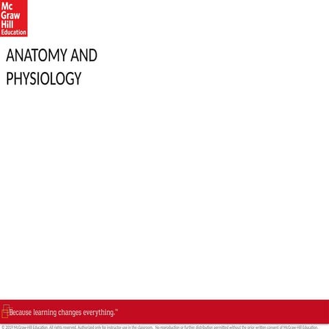 ANATOMY AND PHYSIOLOGY OF RESPIRATORY SYSTEM POWERPOINT.pptx